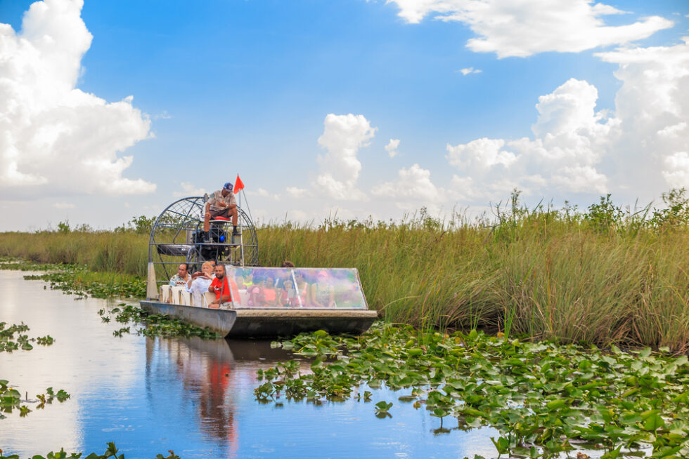 Things To Do In Key Largo | Rock Reef Resort